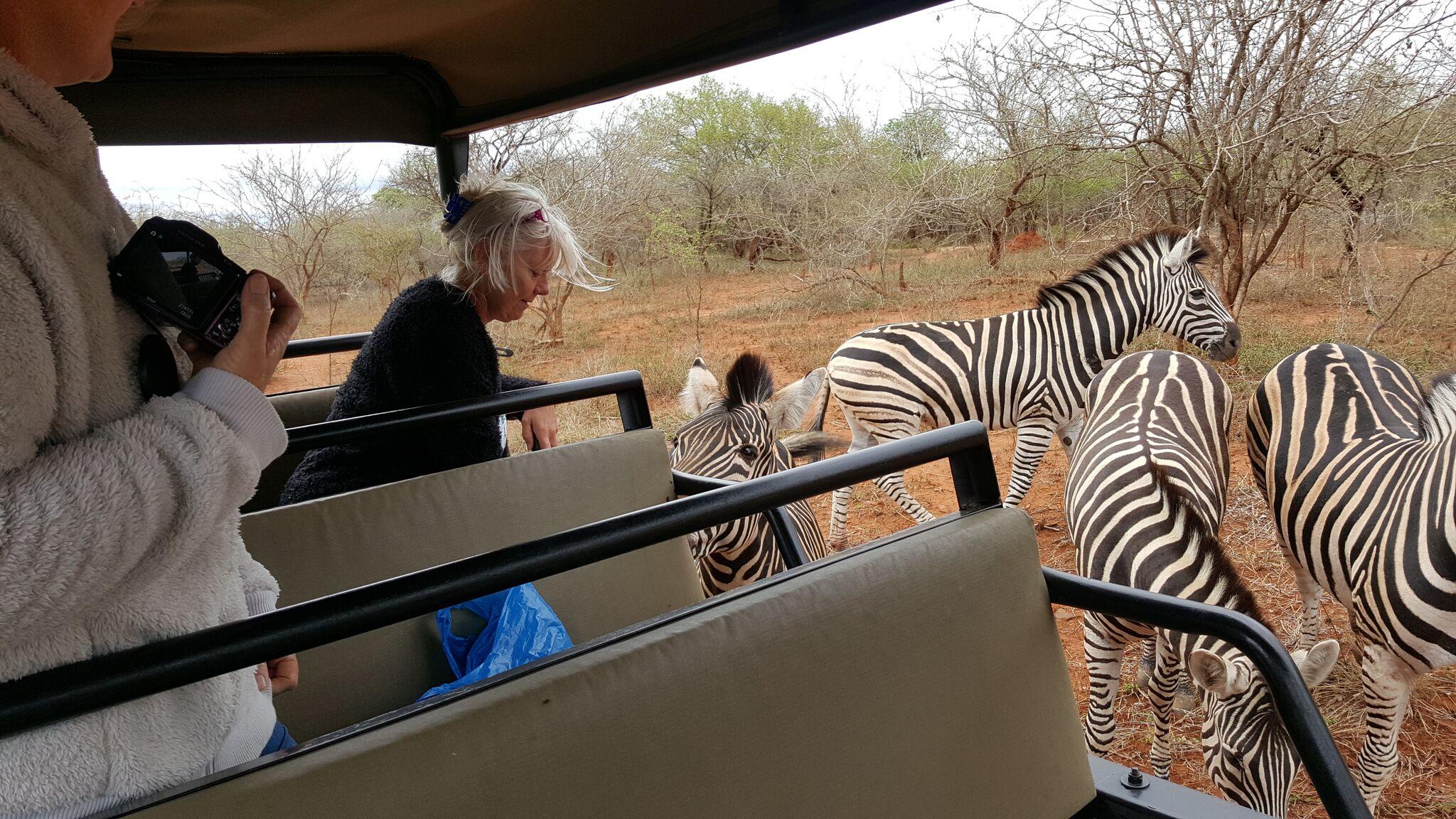 Jabula Lodge and Restaurant - Marloth Park Accommodation